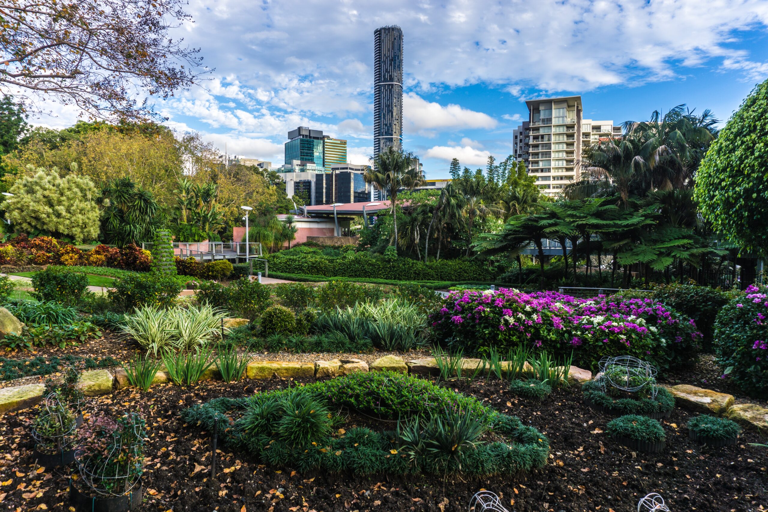 A Family-Friendly Guide to Exploring Brisbane, Australia - Little Steps